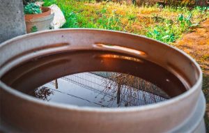 How to Measure Rainfall at home - a guide - HowToMeasure.net