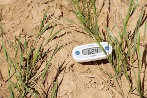 How to measure soil Temperature - a guide - HowToMeasure.net